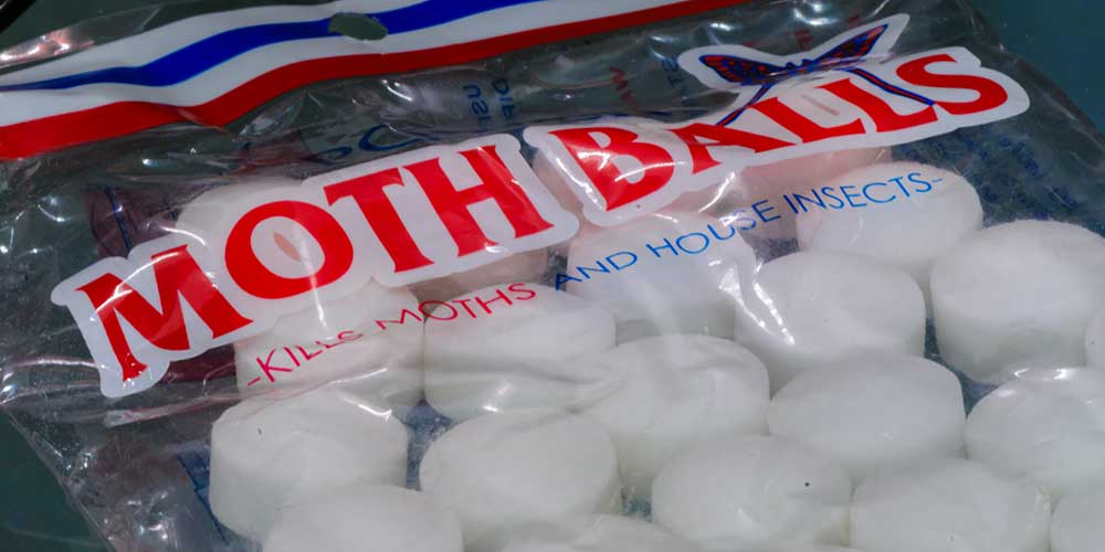 Do Mothballs Work Good For Rat Removal? | Animal Wildlife Trappers